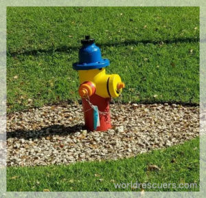 Fire Hydrant Color Code: What Do Hydrant Colors Mean?