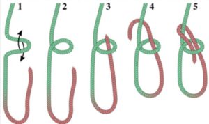 How to tie a bowline knot? Step by step guide