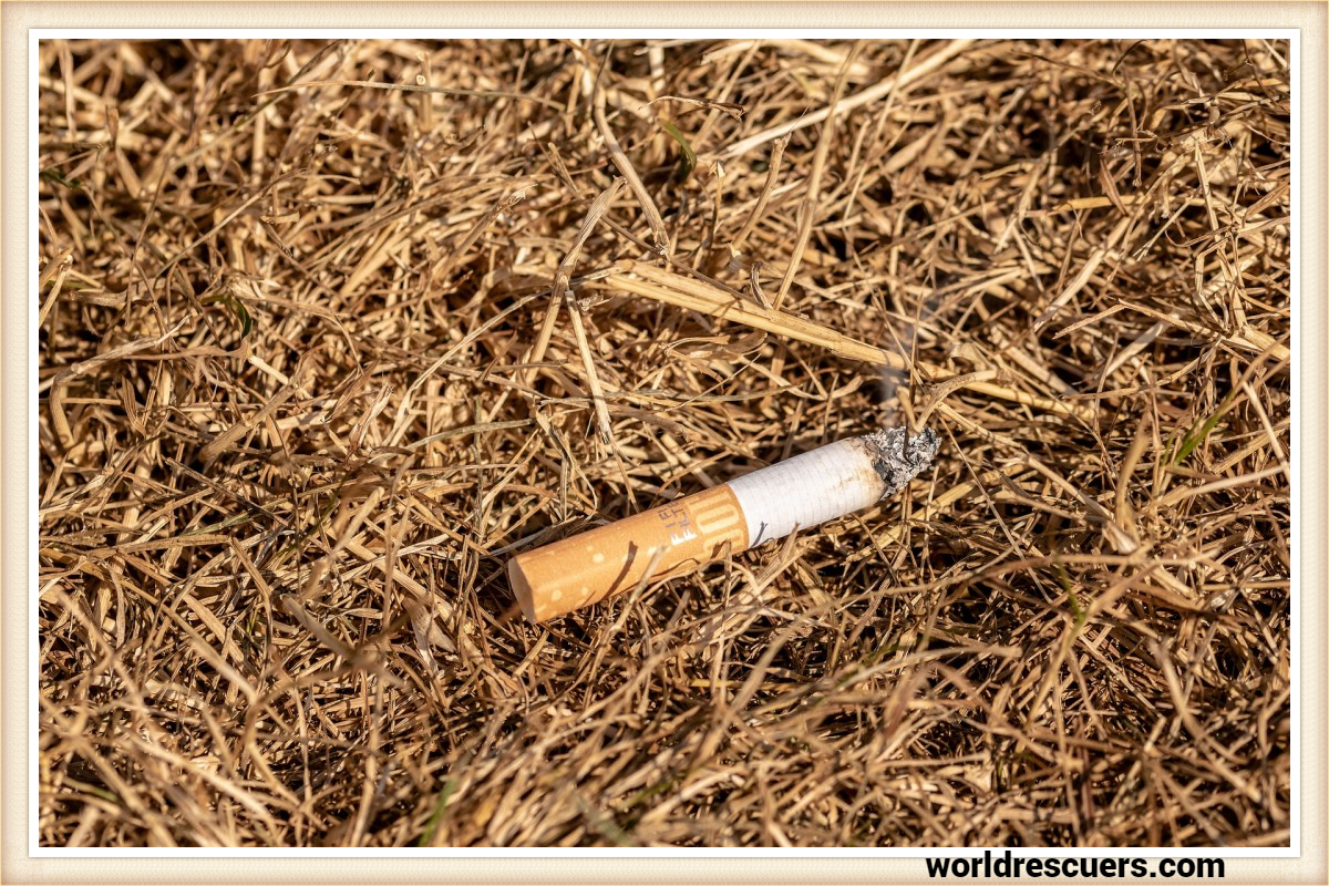 Exploring Fire Hazards and How to Prevent Them