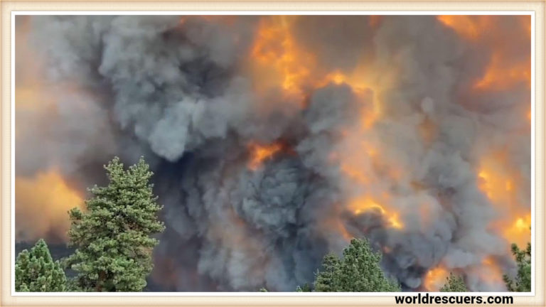 Fire Emergency Preparedness and Response